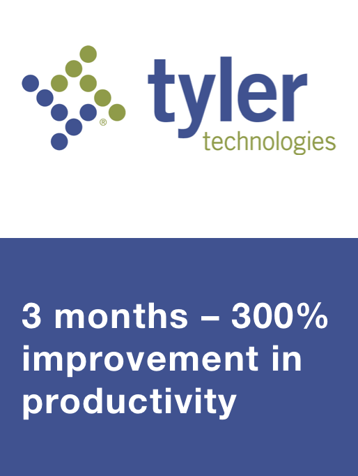 Case Study: Tyler Technologies - Verghis Group